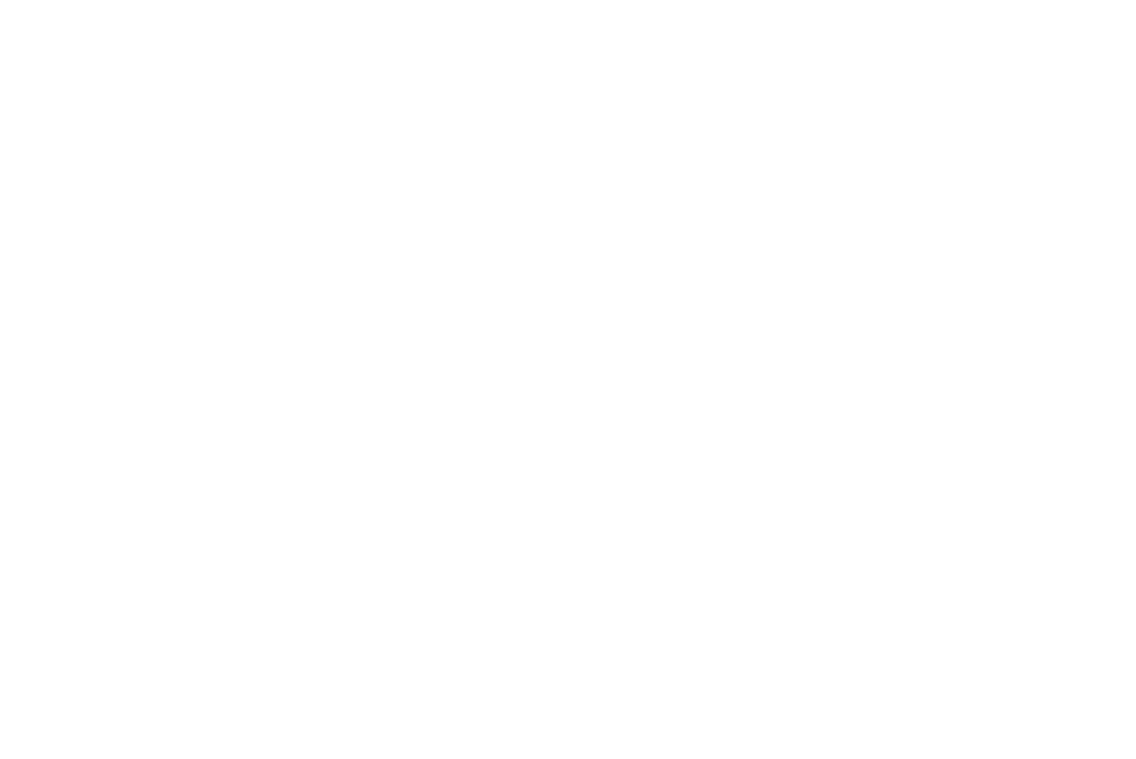 Portfolio Companies - BGF