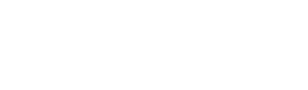 Portfolio Companies - BGF