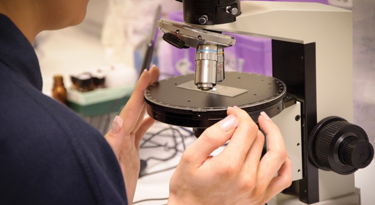 Environmental Essentials - BGF