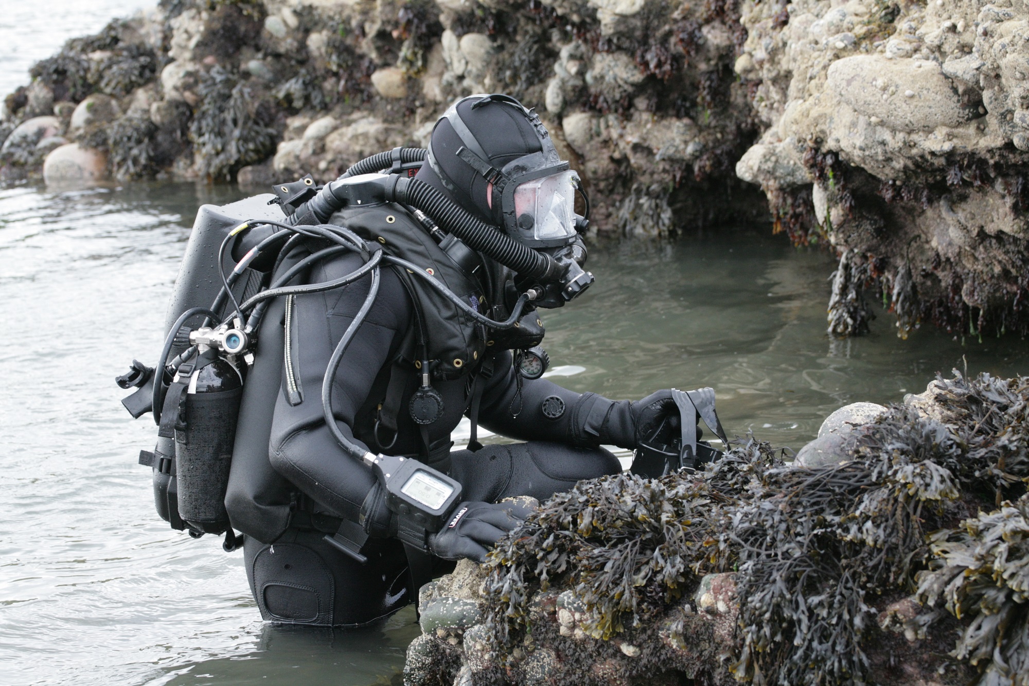 Molecular Products Group - BGF